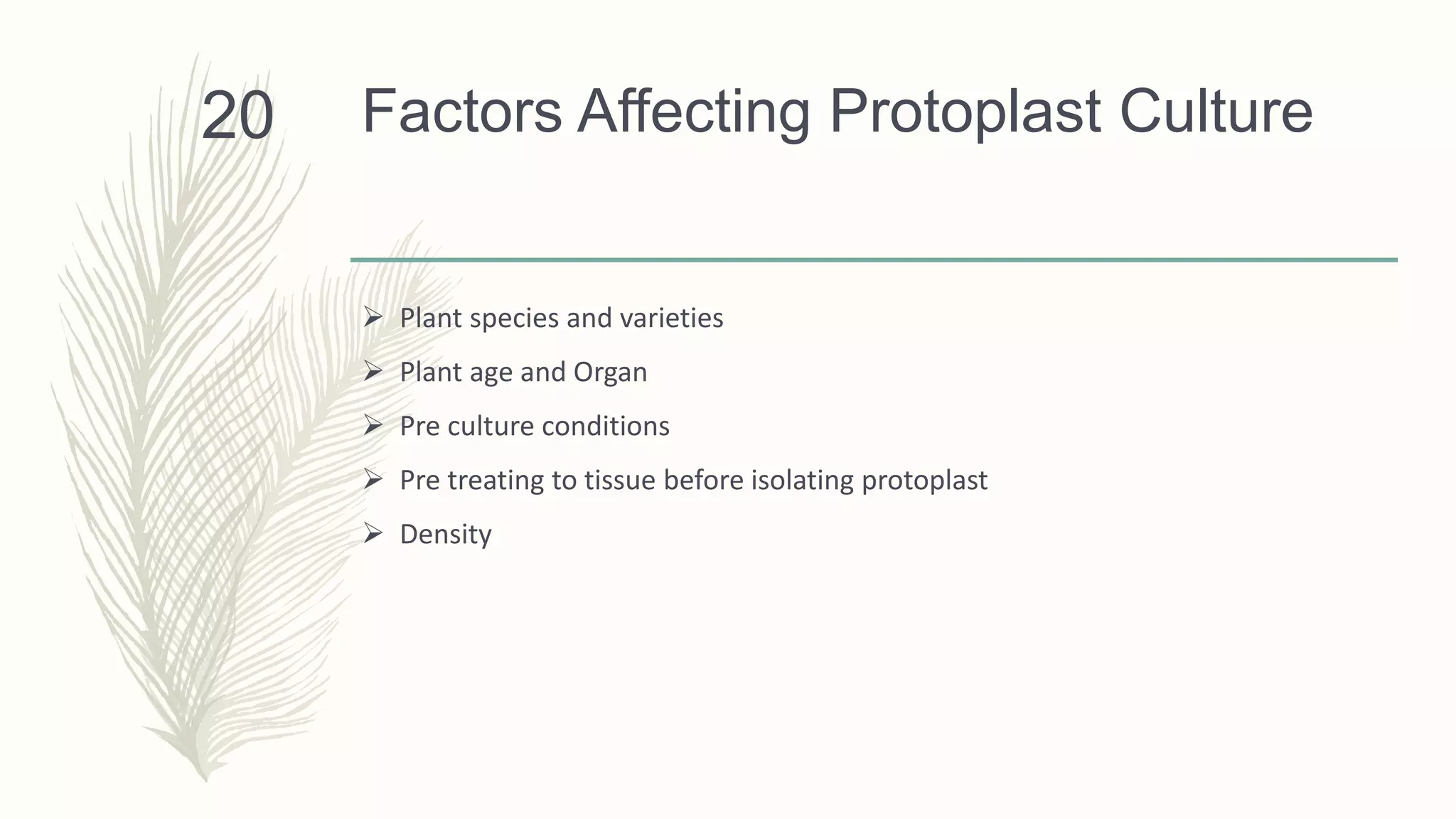 Tissue culture and protoplast culture | PPT