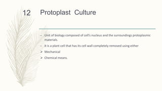Tissue culture and protoplast culture | PPT