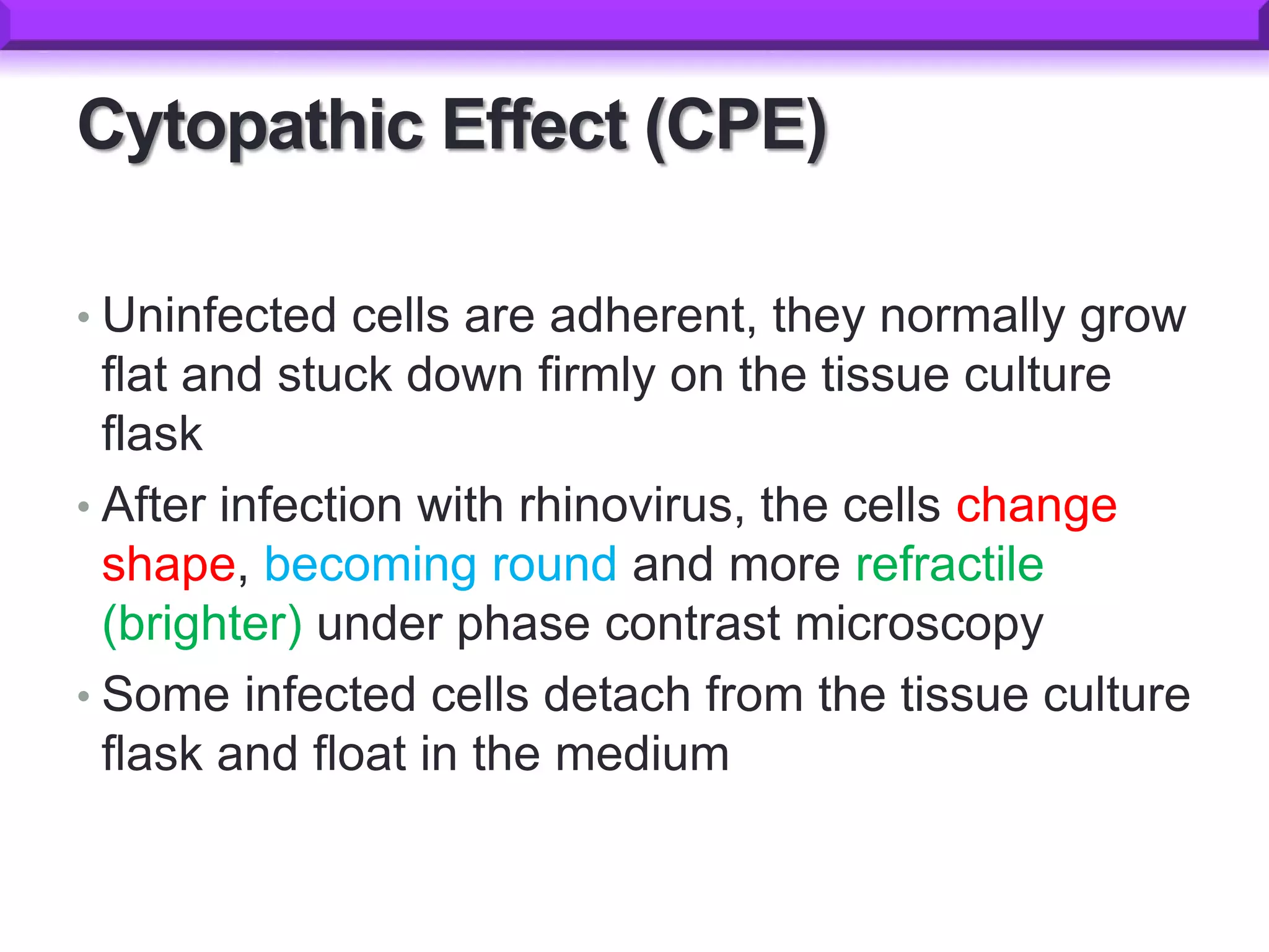 Tissue culture and virology (cpe, plaque assay) | PPTX