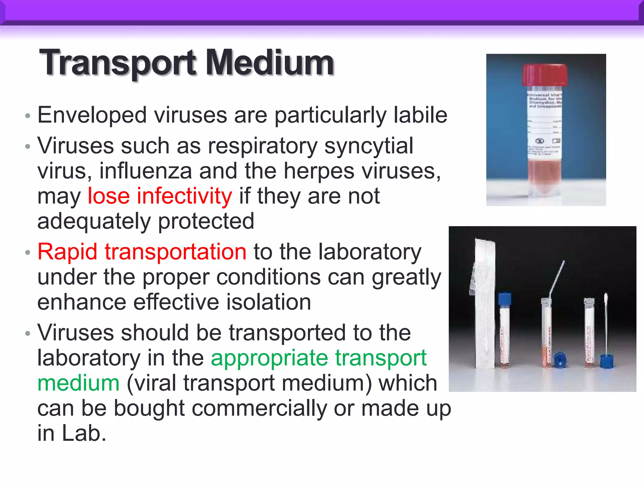 Tissue culture and virology (cpe, plaque assay) | PPTX