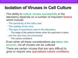 Tissue culture and virology (cpe, plaque assay) | PPTX