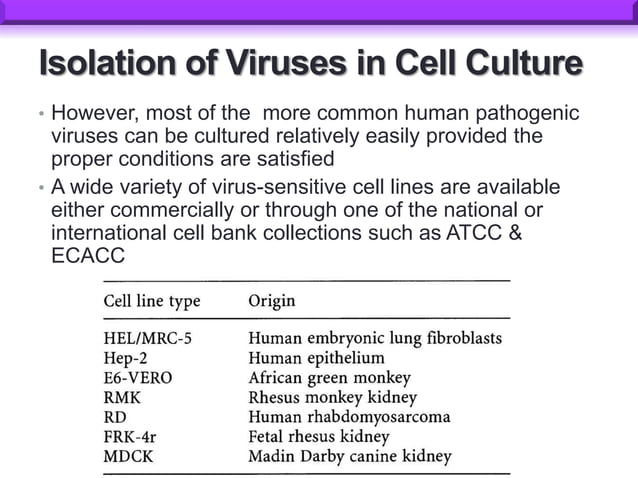 Tissue culture and virology (cpe, plaque assay) | PPTX | Infectious ...