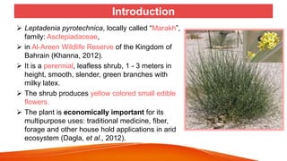 Assignment on Tissue culture on Somatic Embryogenesis and Organogenesis ...