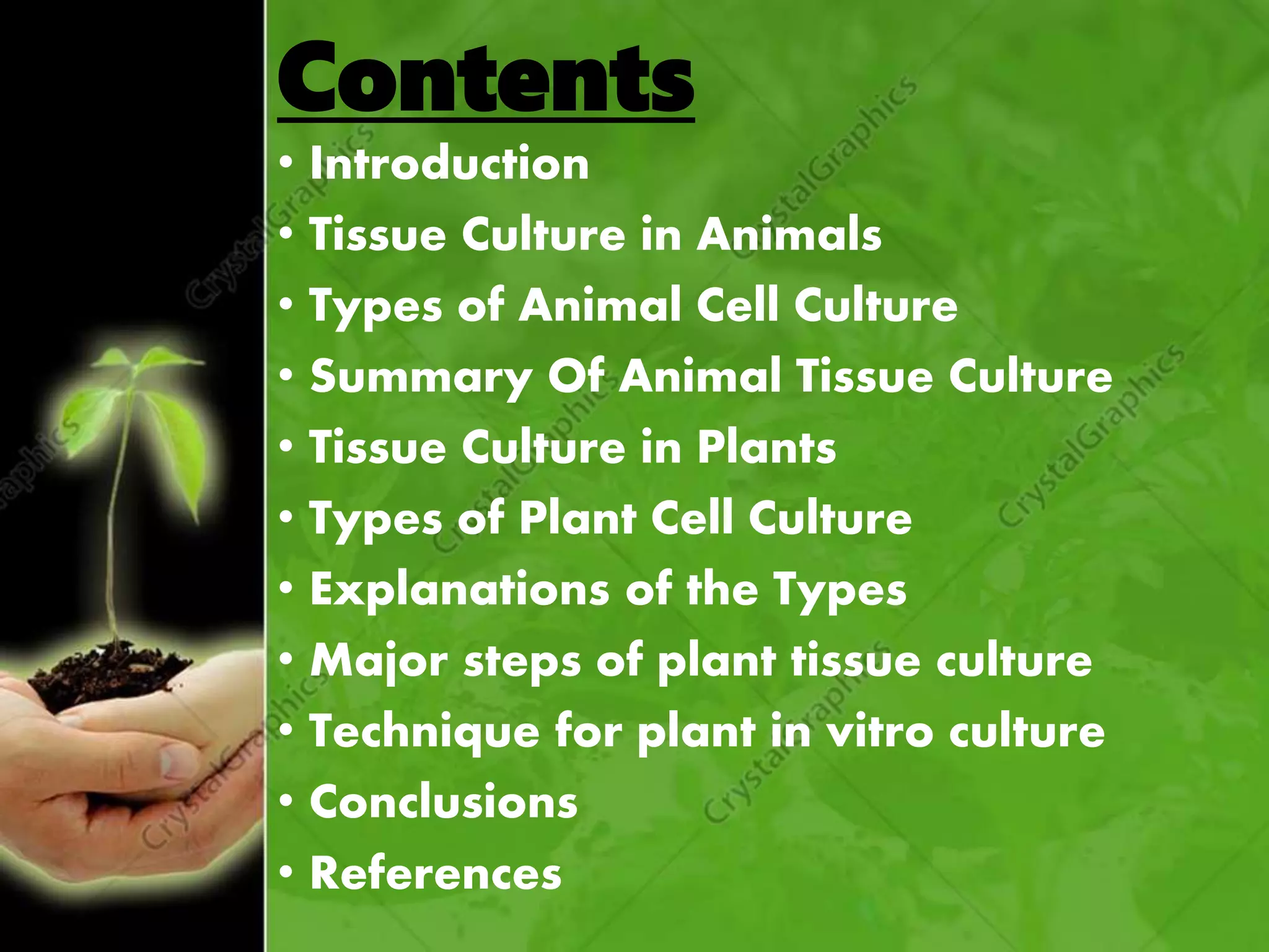 Tissue Culture its types and Applications By Samra Tahir | PPTX ...