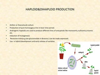 application of plant tissue culture | PPTX