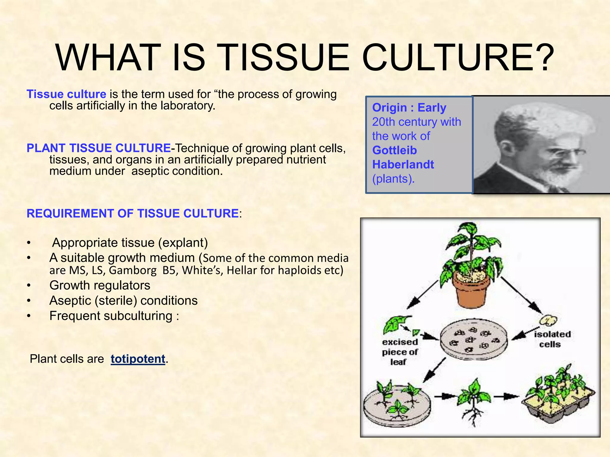 Plant Tissue Culture Technique and its applications | PPTX