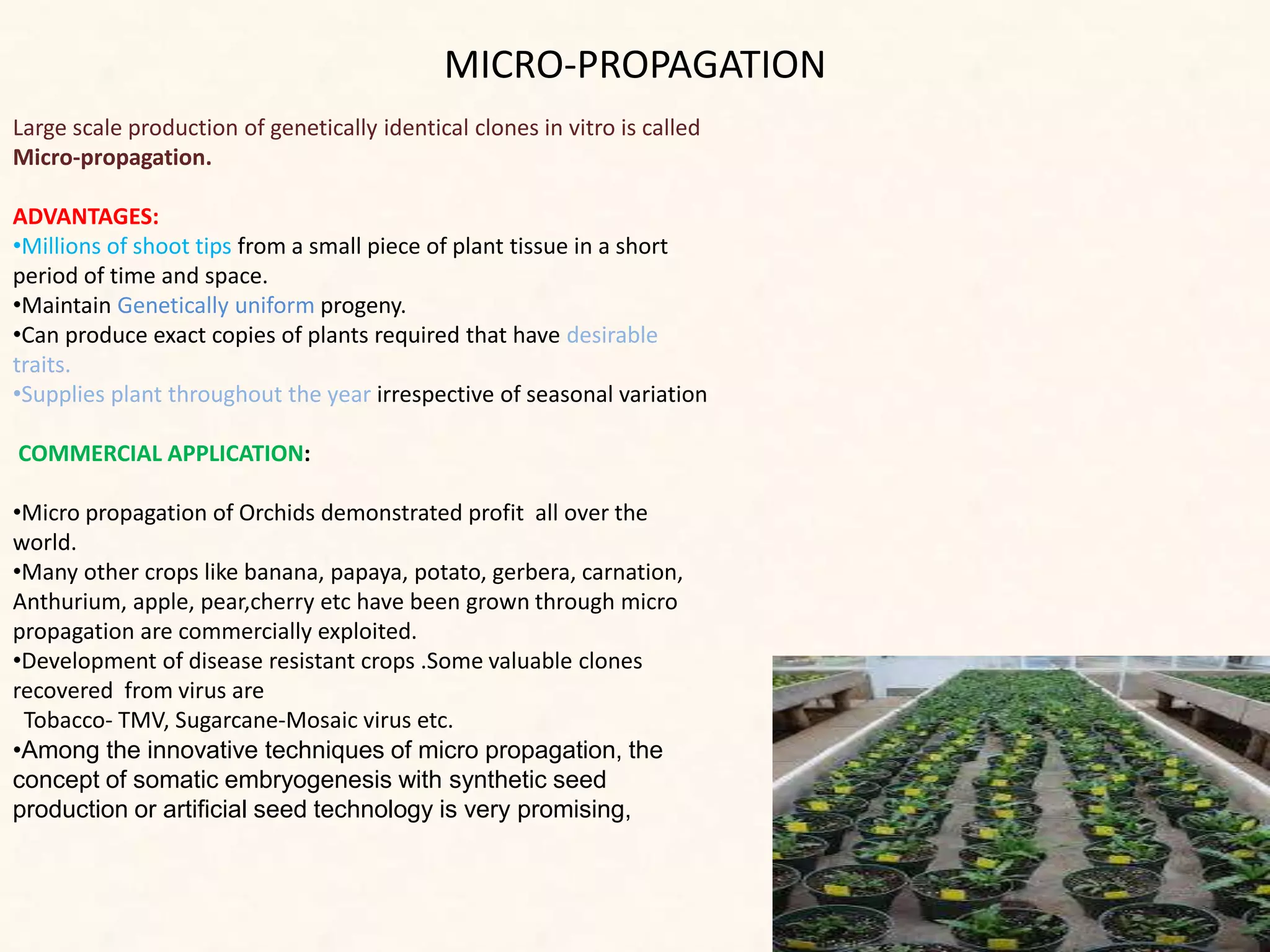 Plant Tissue Culture Technique and its applications | PPTX