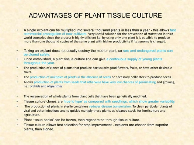 Plant Tissue Culture Technique and its applications | PPTX
