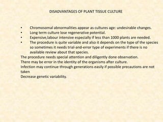 Plant Tissue Culture Technique and its applications | PPTX