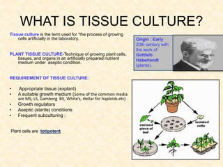 Plant Tissue Culture Technique and its applications | PPTX