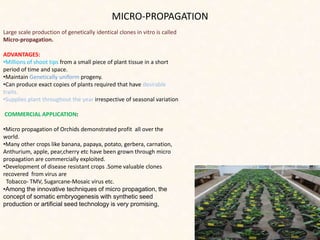 Plant Tissue Culture Technique and its applications | PPTX