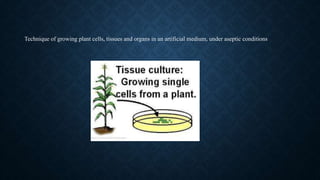 Tissue culture of plants | PPT