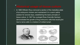 Tissue culture | PPTX