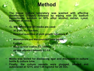 Tissue culture studies in cajanus cajan by vijay chourey | PPT