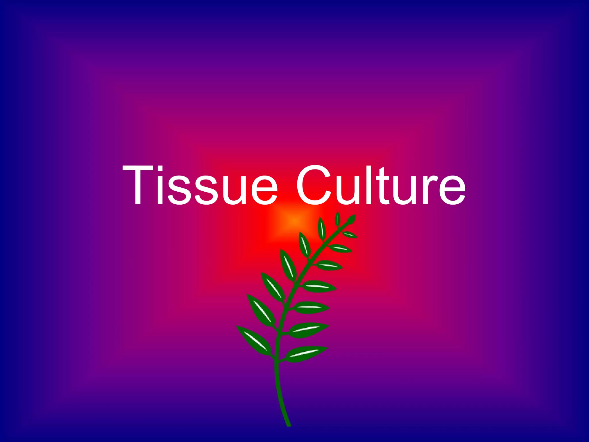 Tissue culture(vishvanath bilagi) | PPT