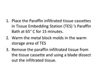 Tissue Embedding Procedure | PDF