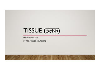Tissue and Its Types | PDF