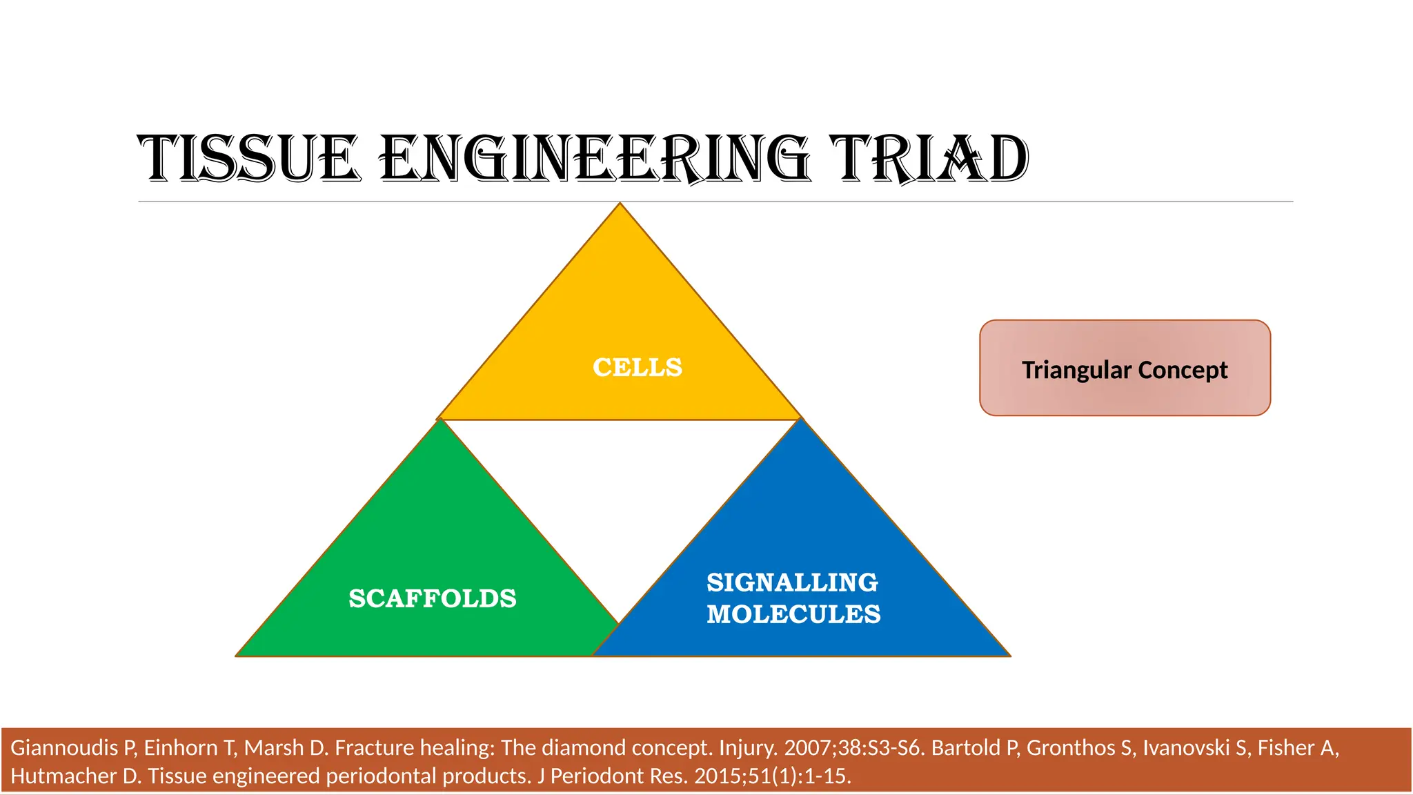 tissue engeneering in periodontics pptxmn | PPTX