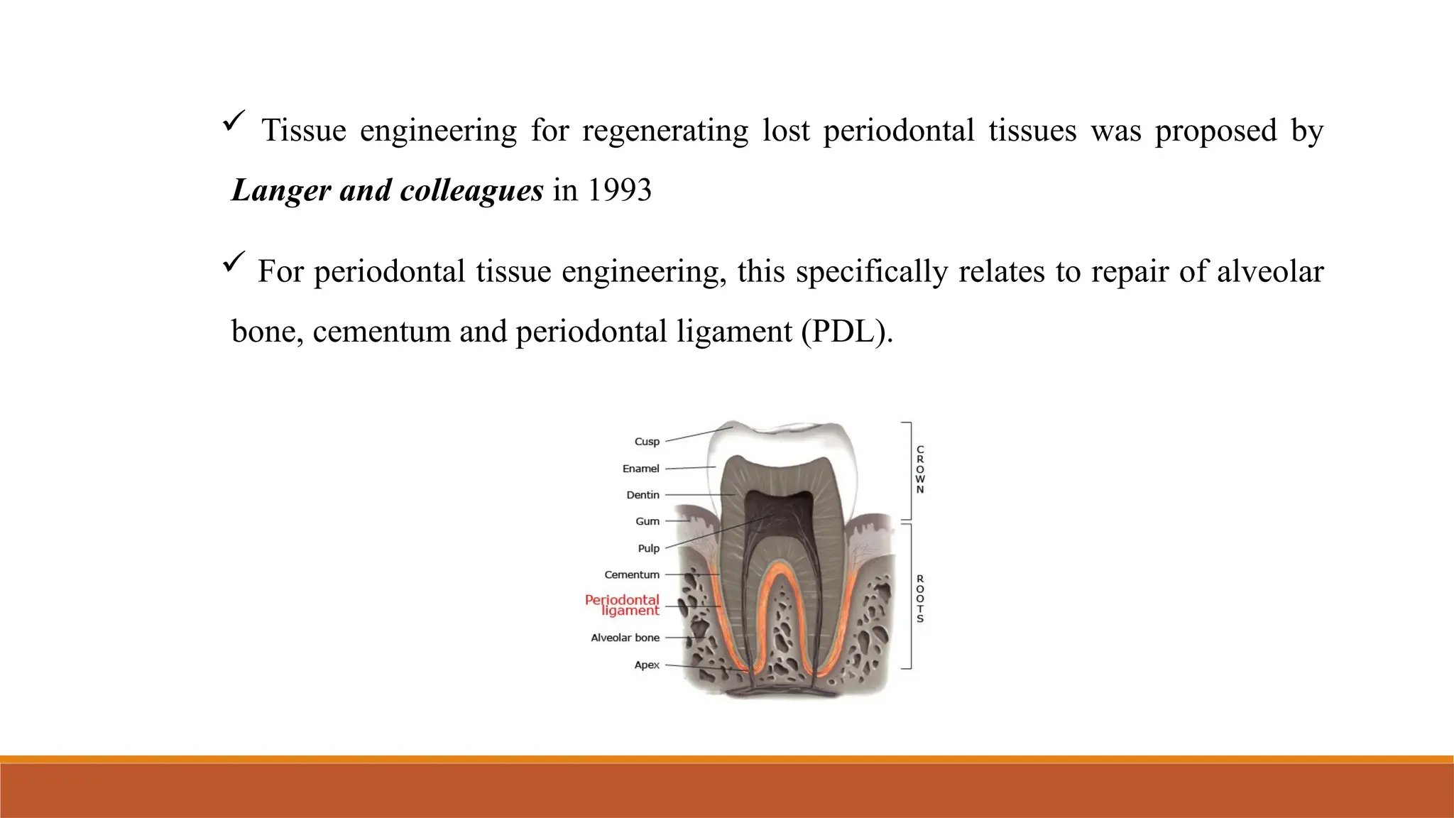 tissue engeneering in periodontics pptxmn | PPTX