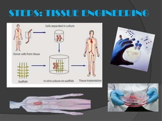 Tissue Engineering | PPTX