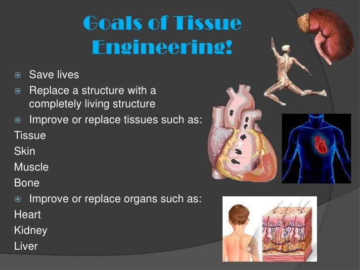 Content – Tissue Engineering