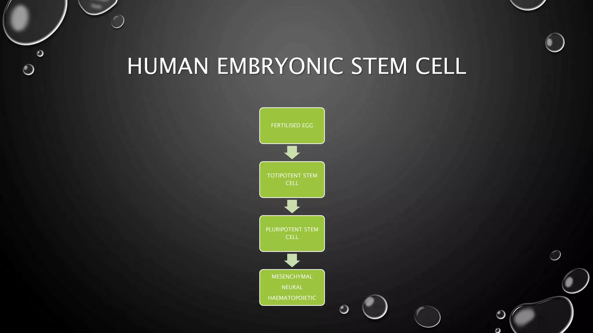 Tissue engineering basics | PPTX