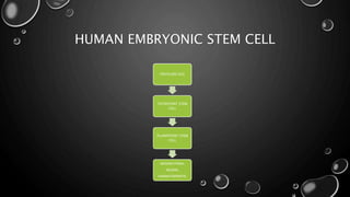 Tissue engineering basics | PPTX
