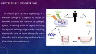 Tissue engineering | PPTX