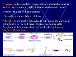 Tissue engineering | PPT