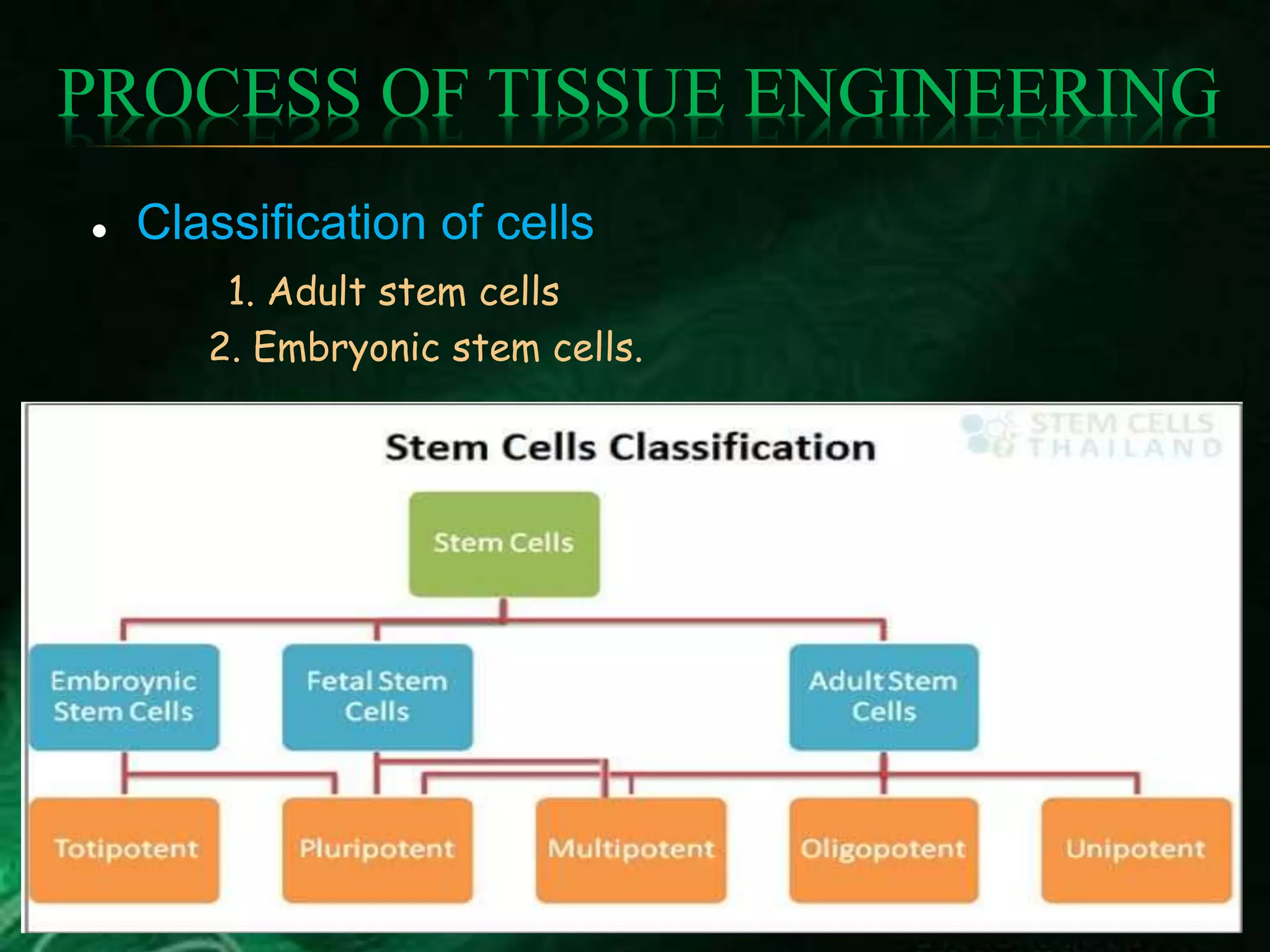 Tissue engineering and regenerative medicine | PPTX