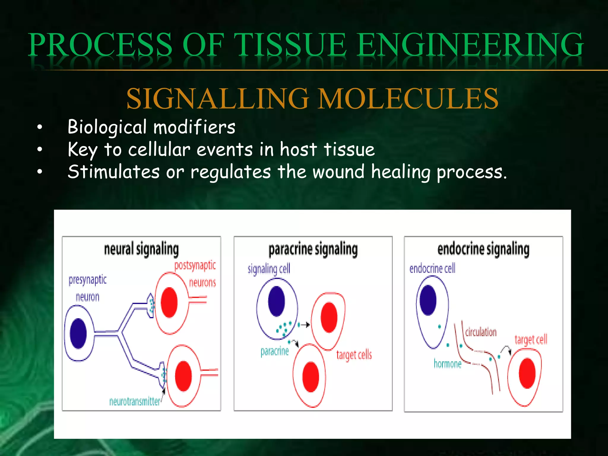 Tissue engineering and regenerative medicine | PPTX