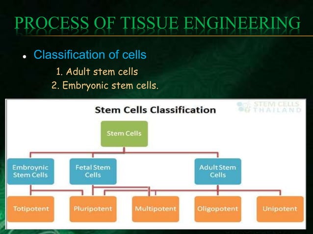 Tissue engineering and regenerative medicine | PPTX | Biological ...