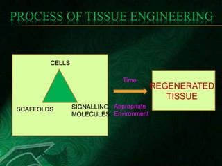 Tissue engineering and regenerative medicine | PPTX