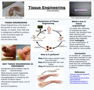 Tissue engineering Poster presentation. | PPT
