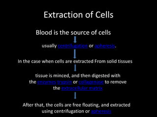 Tissue engineering | PPTX