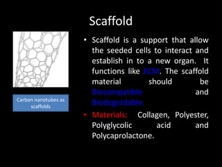 Tissue engineering | PPTX
