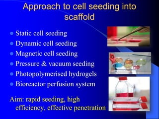 Tissue engineering | PPTX