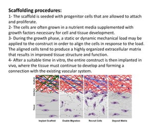 Tissue engineering | PPTX