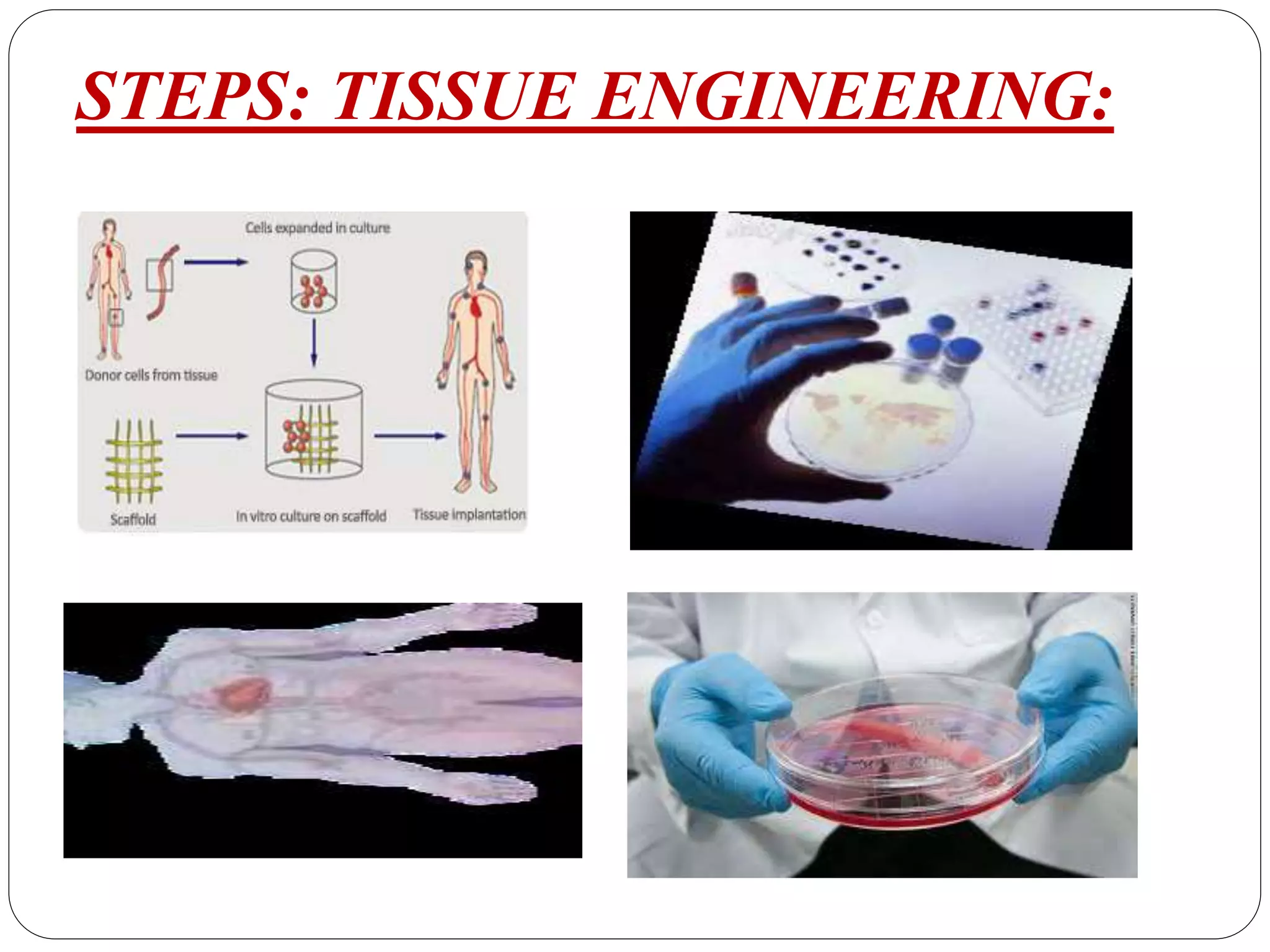 Tissue engineering: AN INTRODUCTION | PPTX