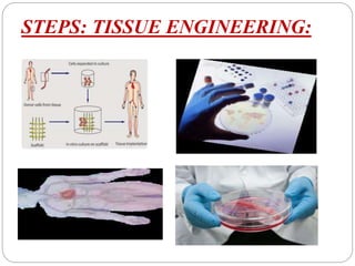 Tissue engineering: AN INTRODUCTION | PPTX
