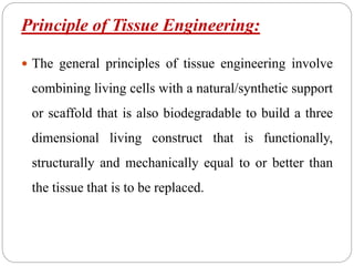 Tissue engineering: AN INTRODUCTION | PPTX | Biotech and Biomedical ...