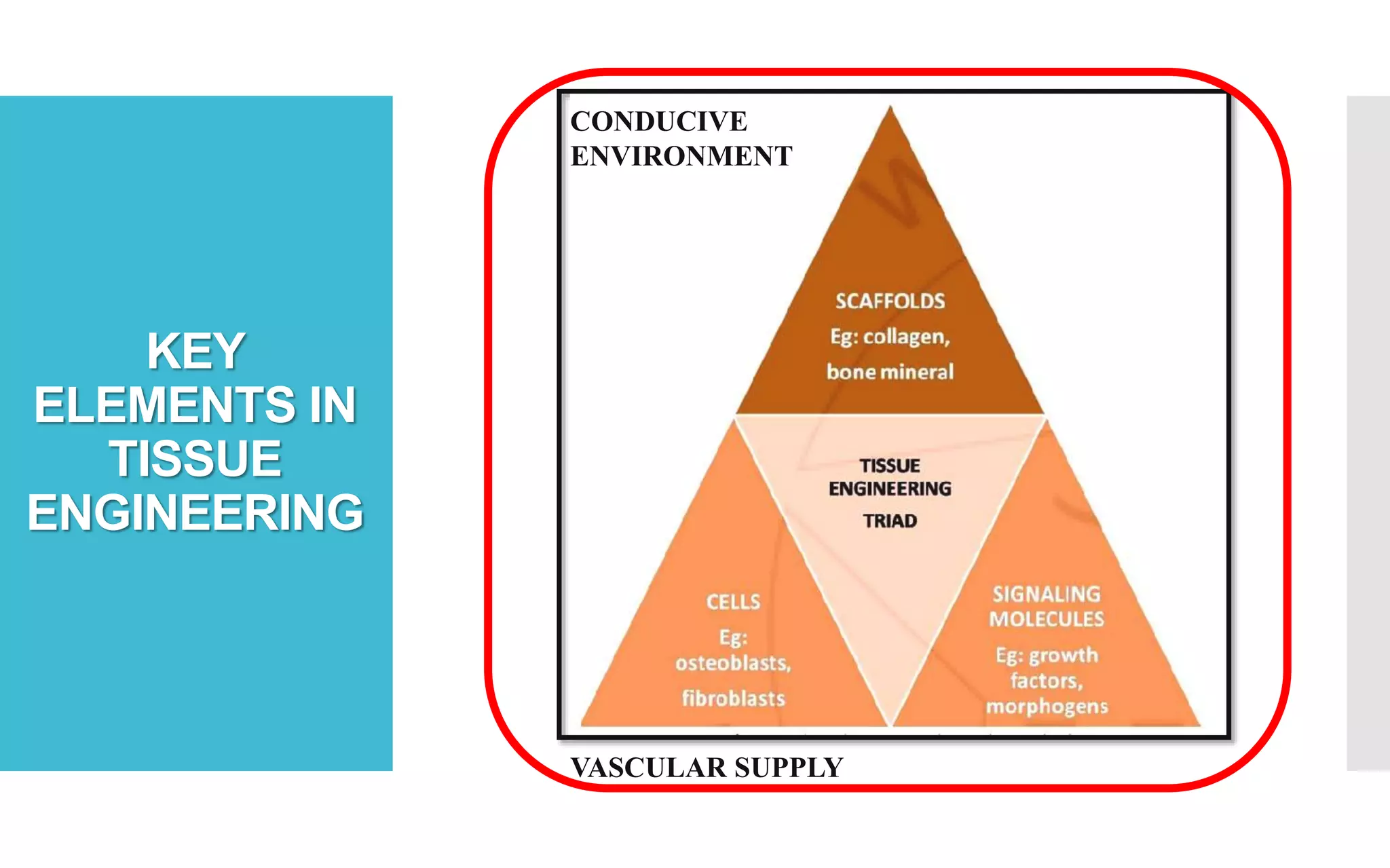 TISSUE ENGINEERING.pptx