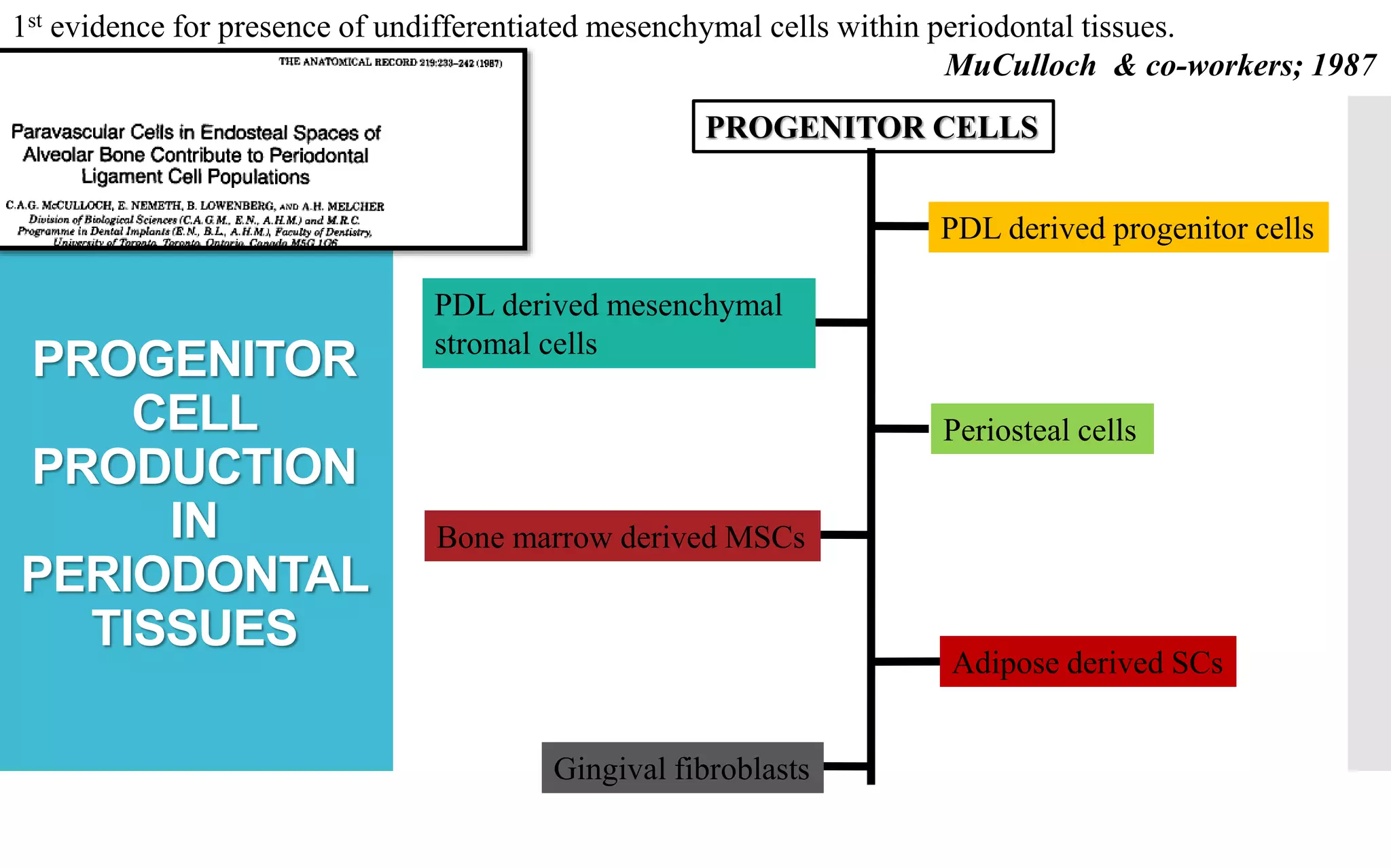 TISSUE ENGINEERING.pptx