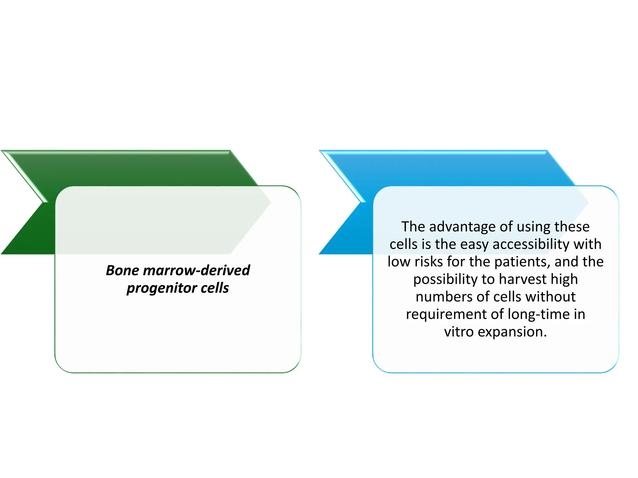 tissue engineering ; basics and challenges.pdf