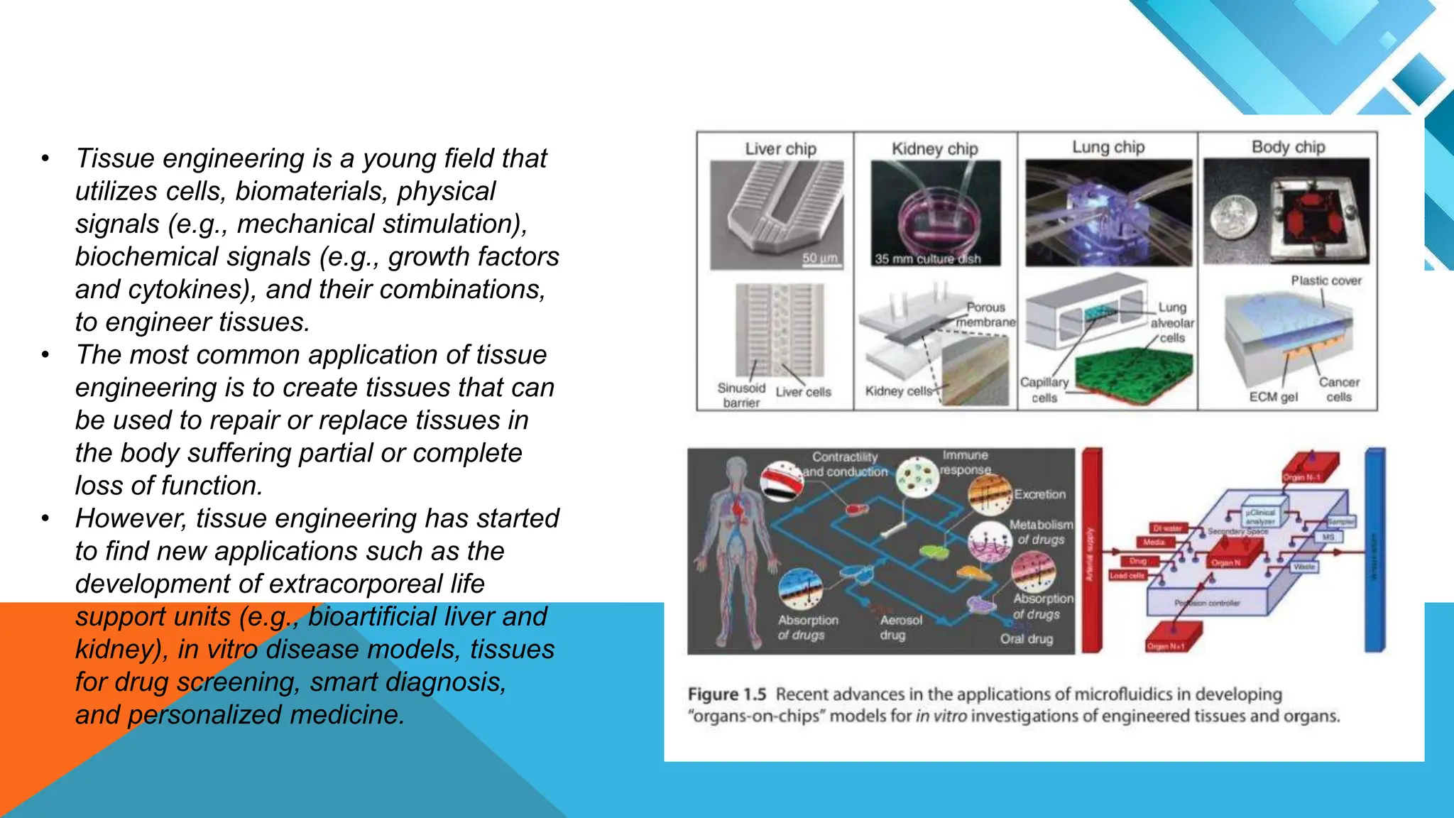 Tissue engineering......................pptx