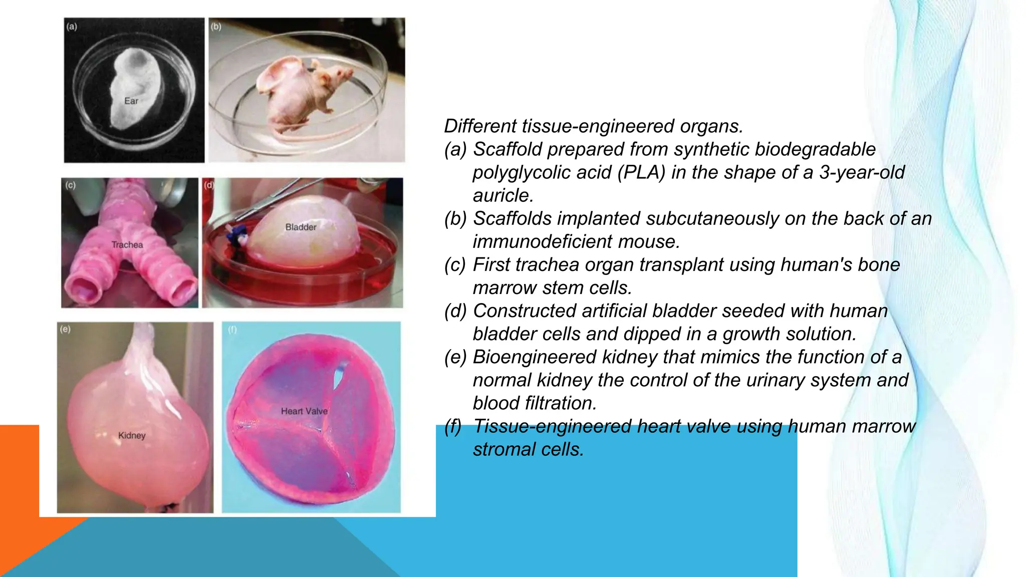 Tissue engineering......................pptx
