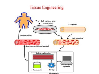 Tissue engineering for bone, skin and neural tissue | PPTX