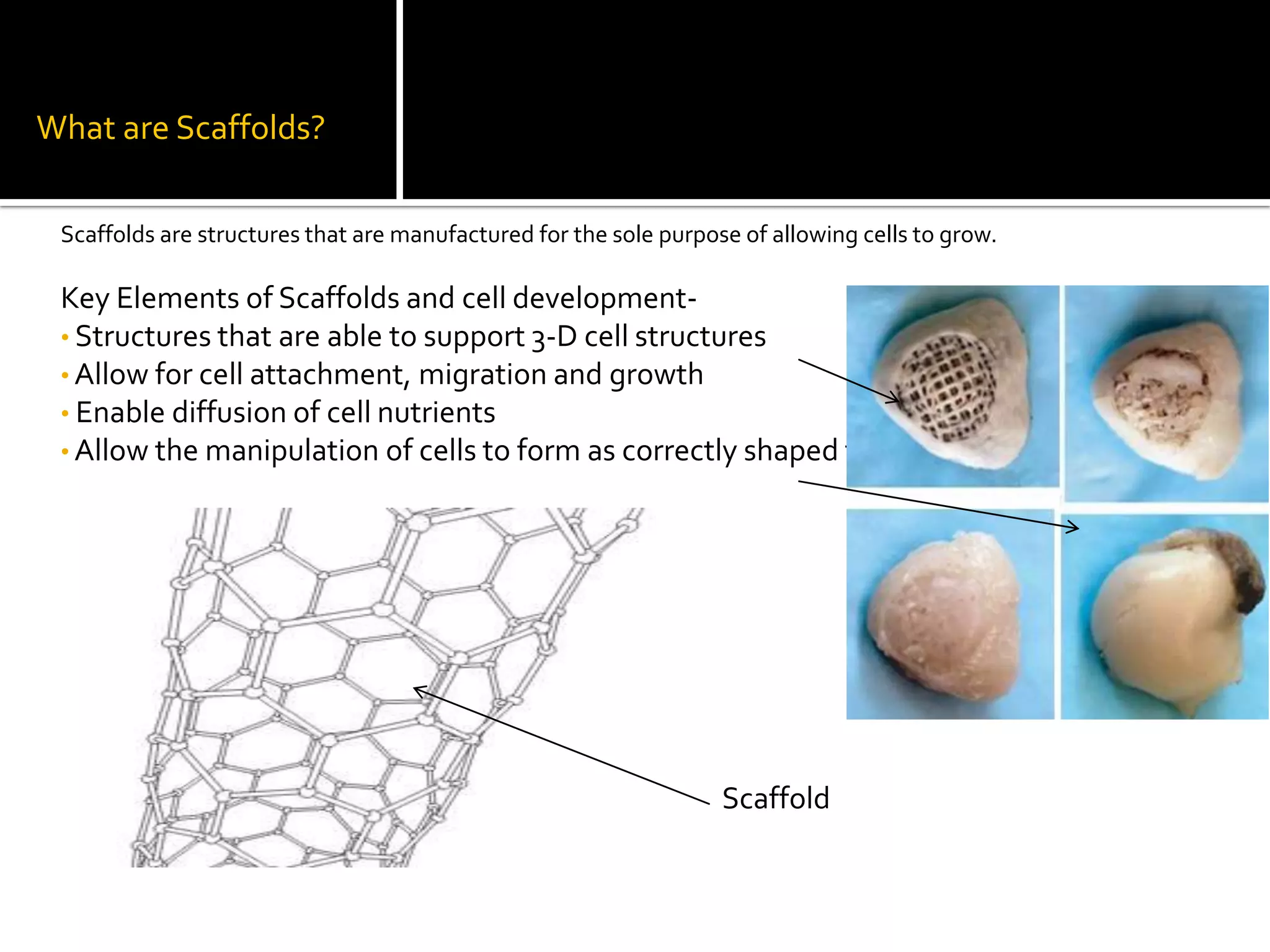 Tissue engineering | PPTX