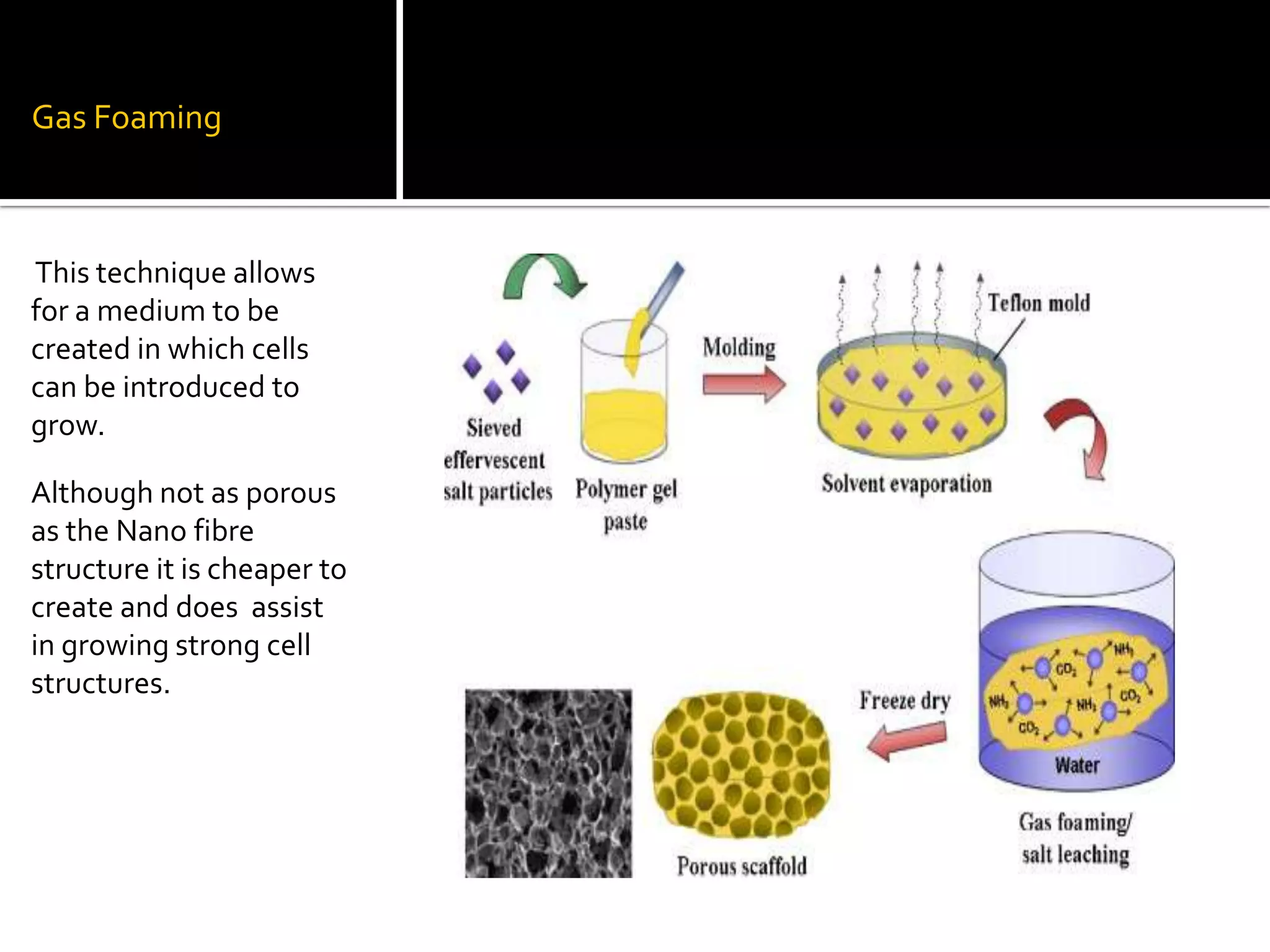 Tissue engineering | PPTX