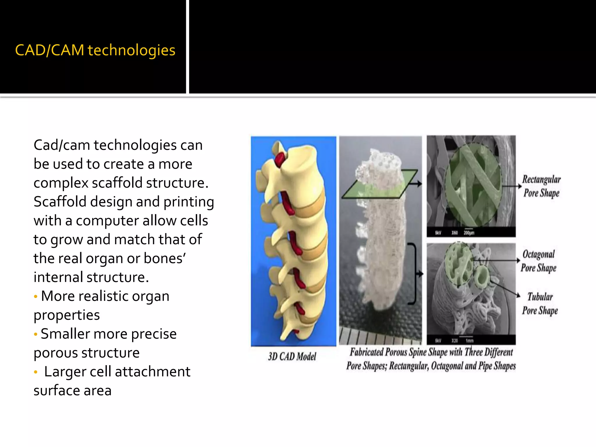 Tissue engineering | PPTX